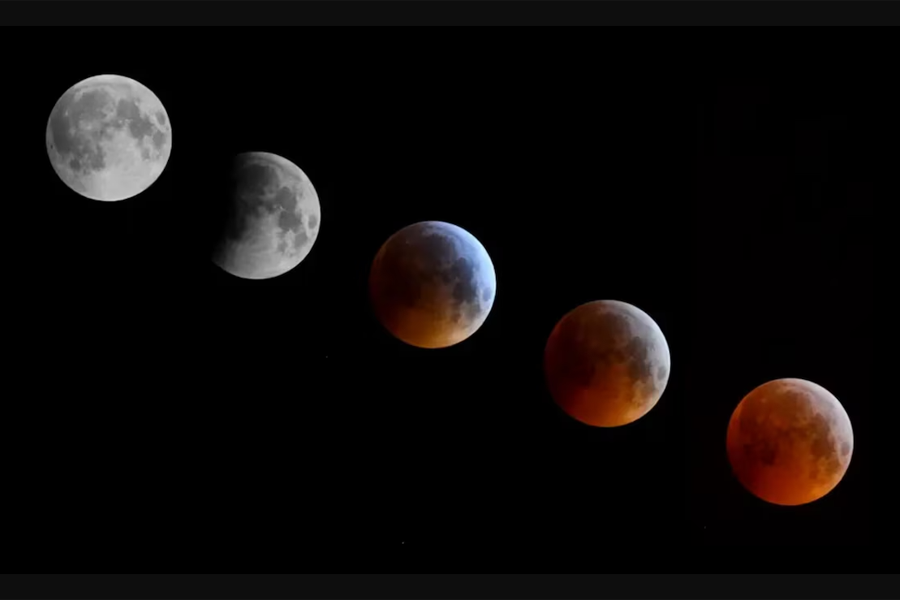 Cómo se vio la "Luna de sangre" en Argentina y cuando se repite | Nuevo Diario Web