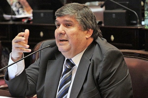 "Una tonta, una estúpida": la vedette Virginia Gallardo ya genera ...