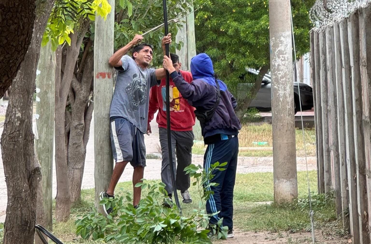 Indignación: así roban cables en pleno día en el Central Argentino ...
