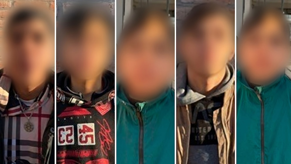 Un menor de 12 años, entre los sospechosos de integrar una banda ...