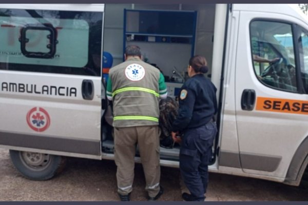 Remisero volcó su auto andando por camino de tierra y terminó en el ...