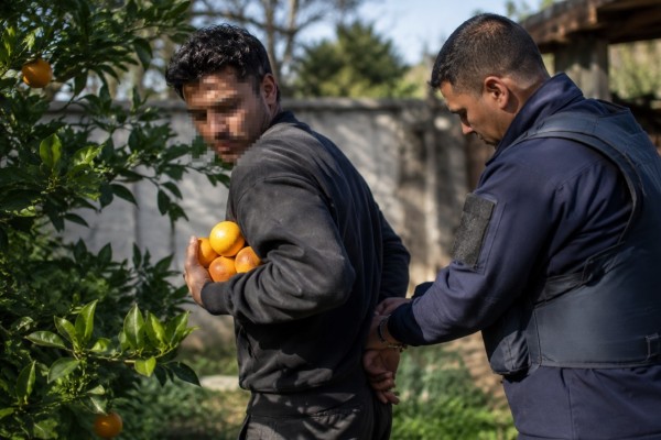 Entró a un terreno para robar naranjas y terminó detenido tras amenazar ...